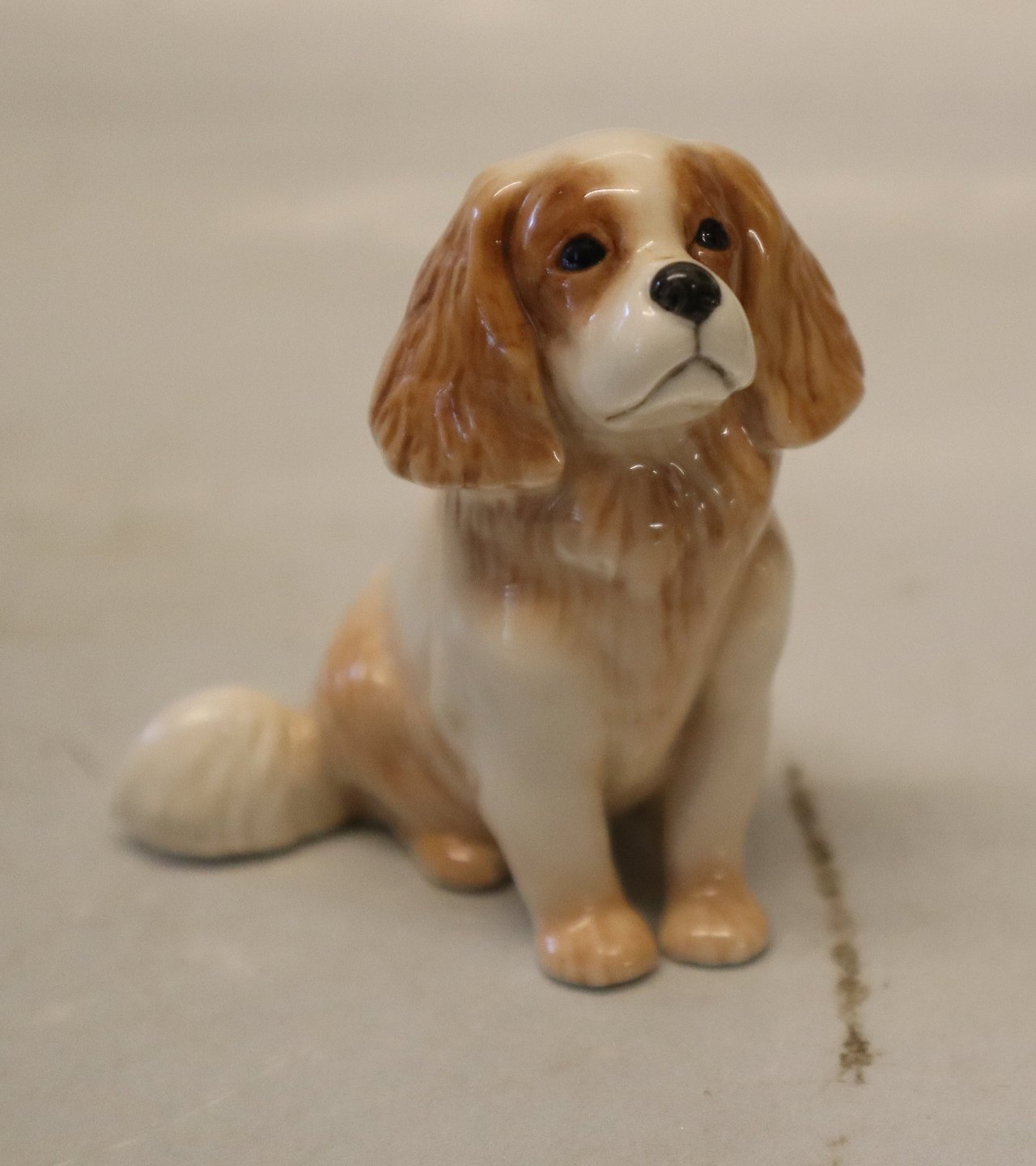 Klosterkælderen - Kongelig Dansk Hund 0515 Kgl. Cavalier King Charles ...